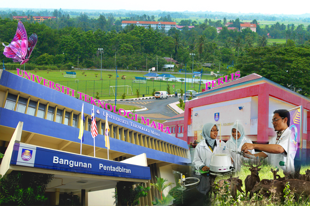 Gedung Rasa Uitm Perlis Dan Malam Pertama Ops