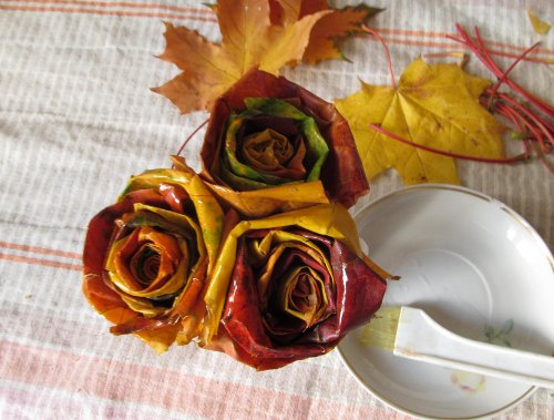 Nadezda's Northern Garden : Maple-Leaf Roses