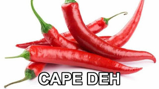 Tebak-tebakan Plesetan yang Amat Receh - almustari