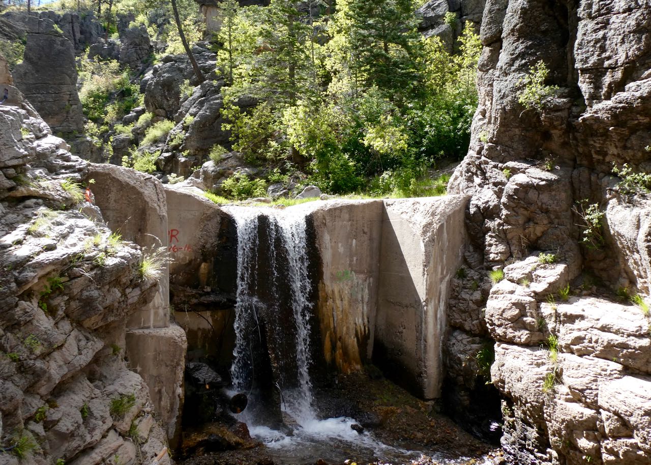 Greg's Running Adventures: Jemez Mountain 50 Miler 2019