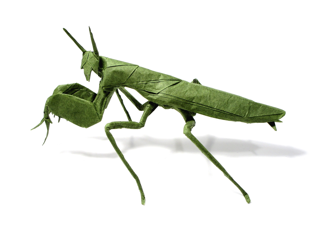 Mariano-Mi mundo el Origami: Boxer Mantis
