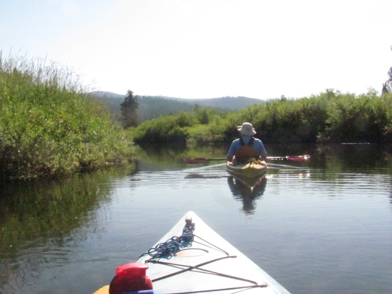 Ladynomad on the Road to Nowhere: Canoe Trail and Larch Grove
