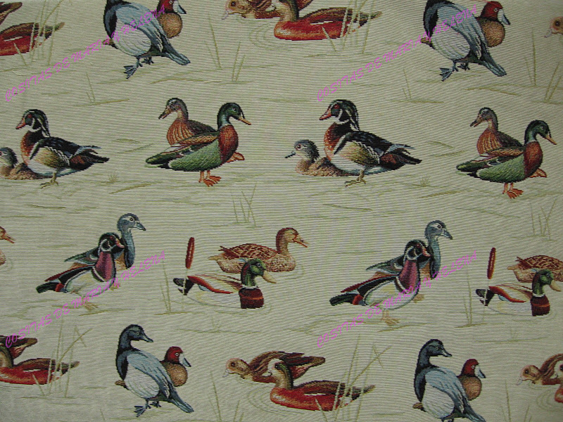 NOS GUSTA COSER : CARNAD ANCHO 280 CLASE F NUMERO 115