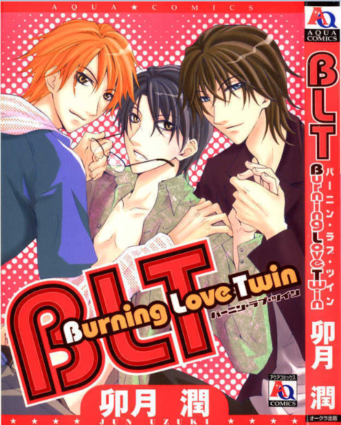 My bishonen corner: [BL Manga Review] Burning Love Twin