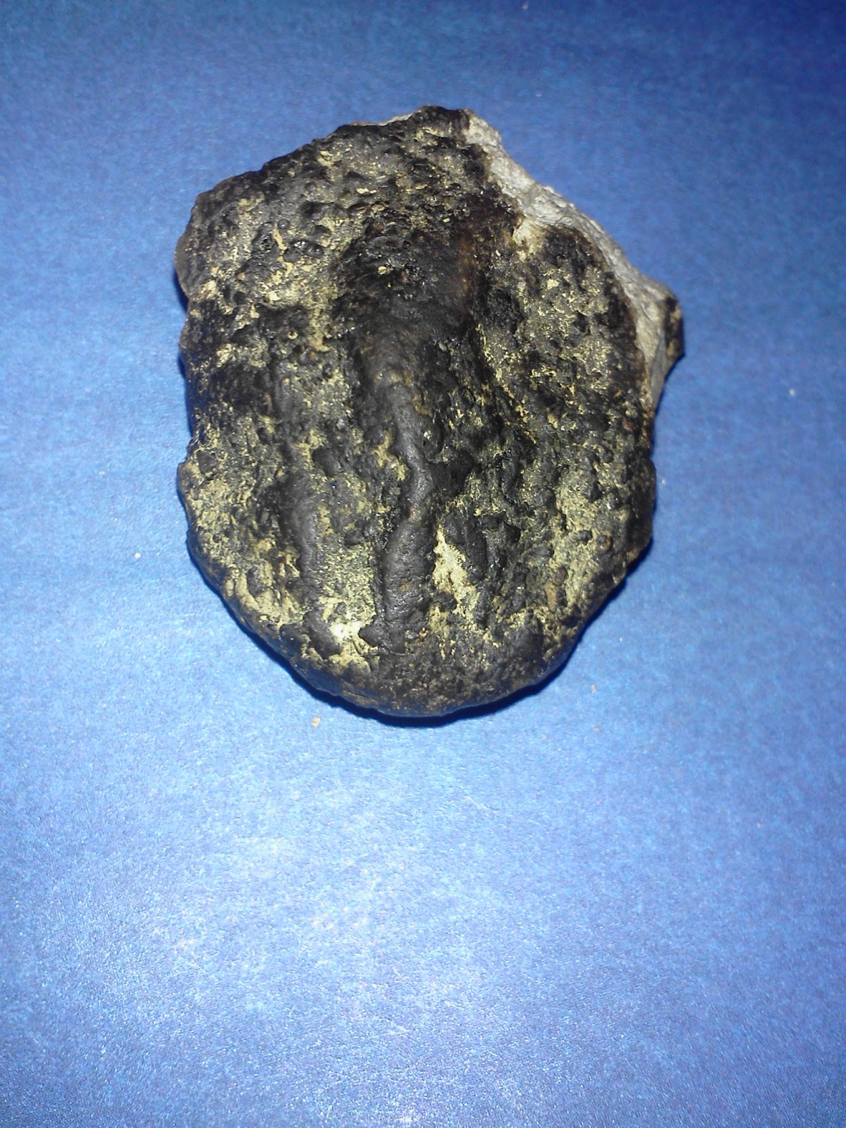 news now: lunar mare basalt meteorite found in US