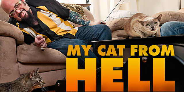 Keobsesanku Terhadap Meeooww: Cats TV Shows Yang Aku Suka Tengok..