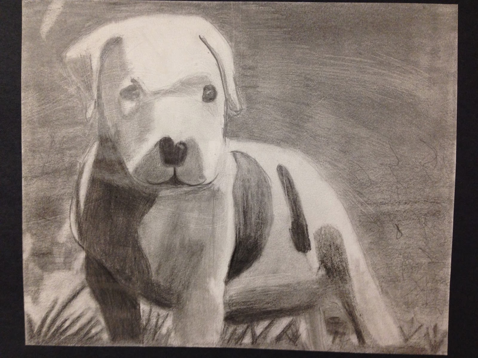 Art Alley: Drawing Rendering: 7th Graders Learn to See