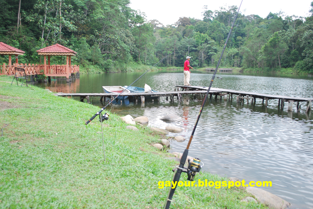 Official GAYOUR Blogsite: MANCING KAT EMPANGAN AIR KUNING