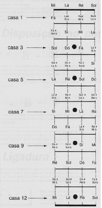 ESCOLA DE MÚSICA - FENIX: NOTAS NO CONTRABAIXO;