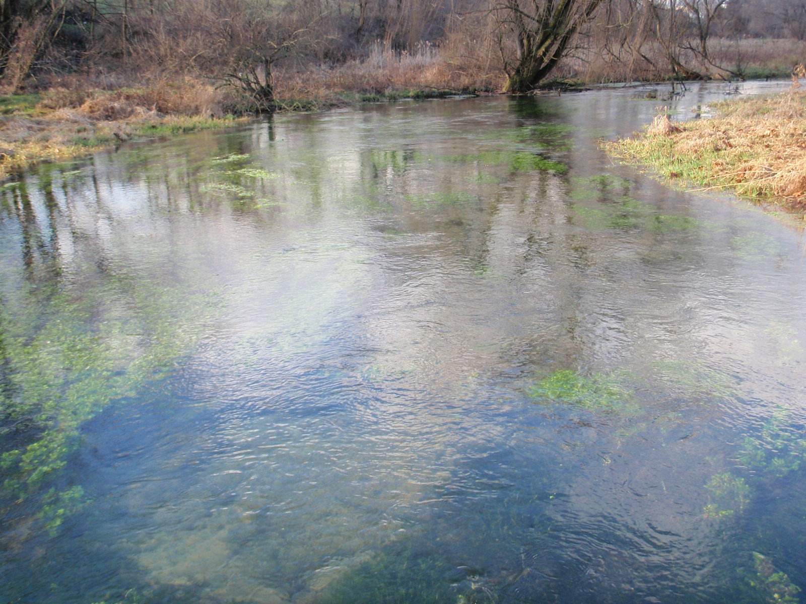Chronicles of a Bug Flinger and Feather Lasher: The Magical Waters of ...