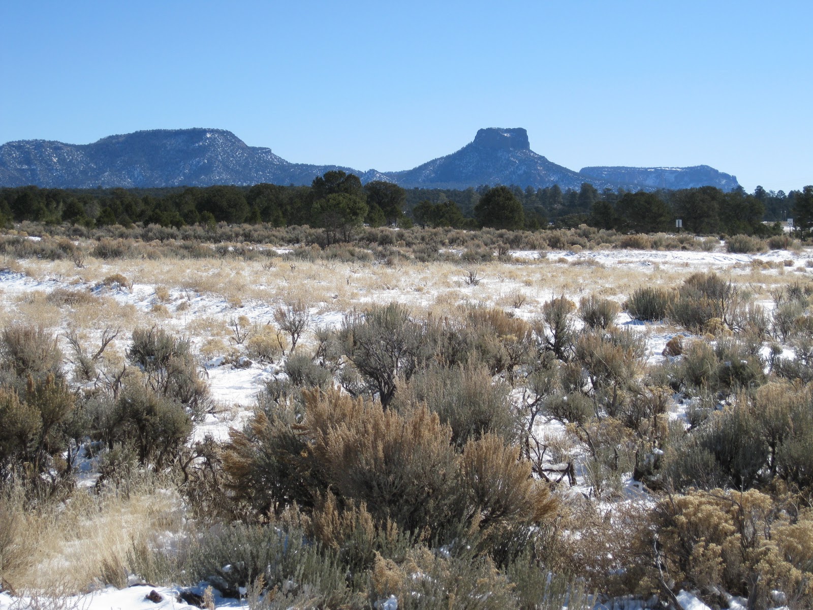 Four Corners Hikes-Navajo Nation: Round Rock, Rock Point and Lukachukai ...