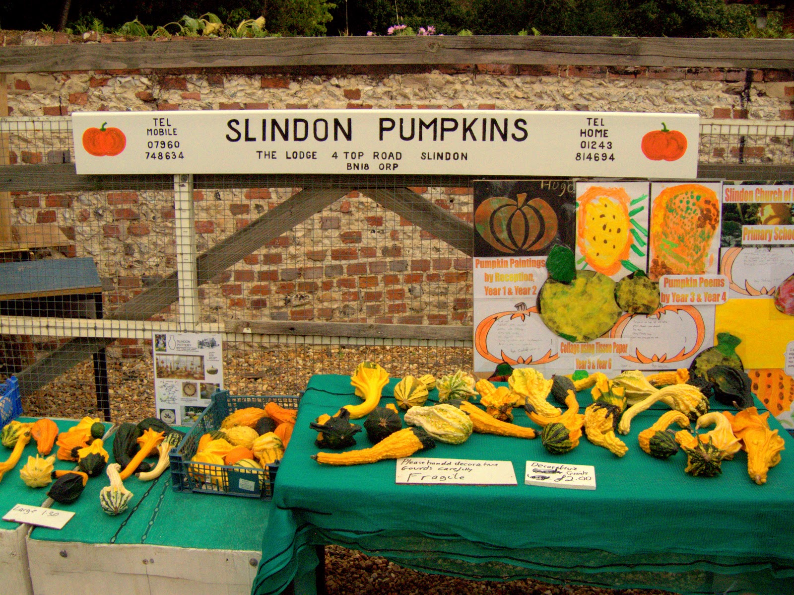 Peter Lovett's ramblings : Massive Pumpkins at Slindon Pumkins are well ...