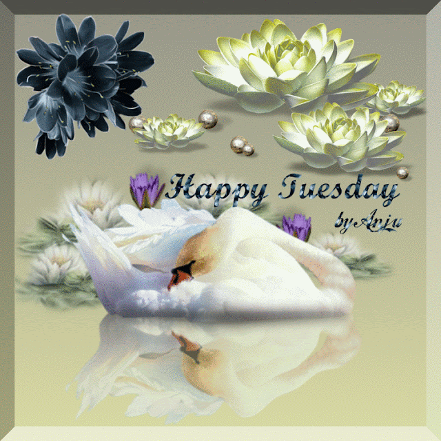 My E-CARD Blog: 4 Graphic pics of Tuesday