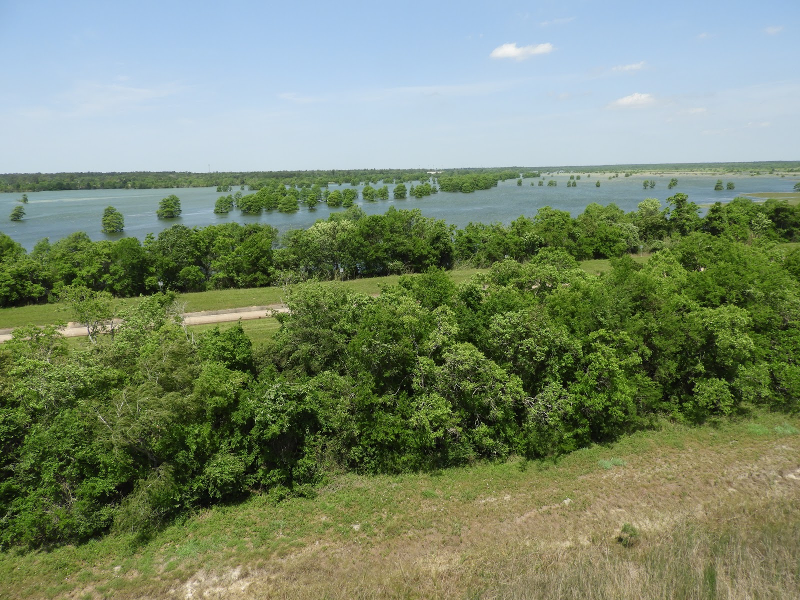 Texas State Parks and Travel Tour: Sheldon Lake SP & Environmental ...