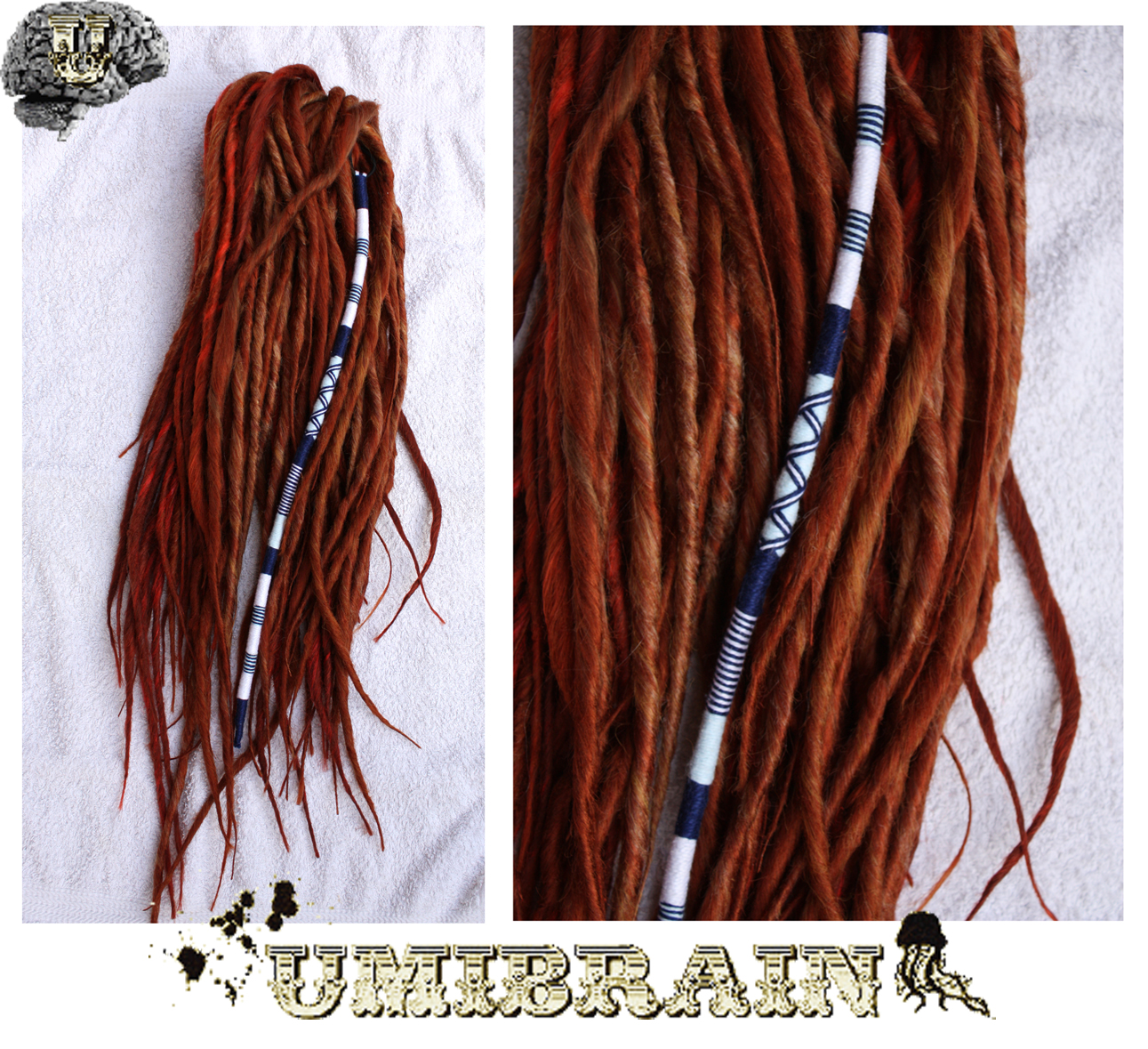 Umibrain: atébas en image