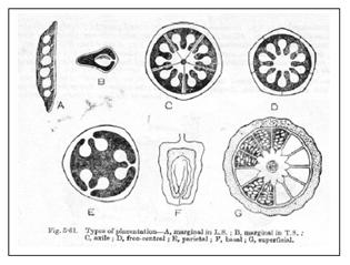 terbaru 2015: ALAT KELAMIN BUNGA