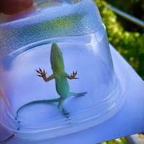 Every goddamn day: 03/19/22: Texas Notes: Things That Go Bump In The Night