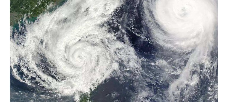 sowoll: Urgent Notice丨Blue Typhoon Alert from Shenzhen Yantian Port: No ...