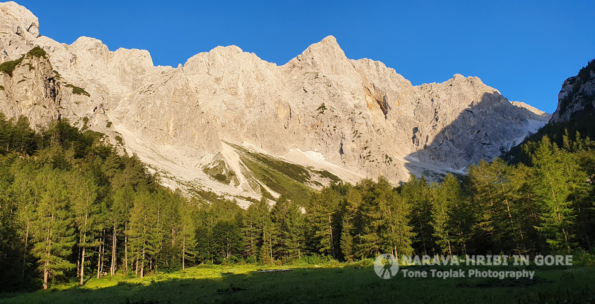 Narava hribi in gore: Mrzla gora 2203 m in vroč junijski dan