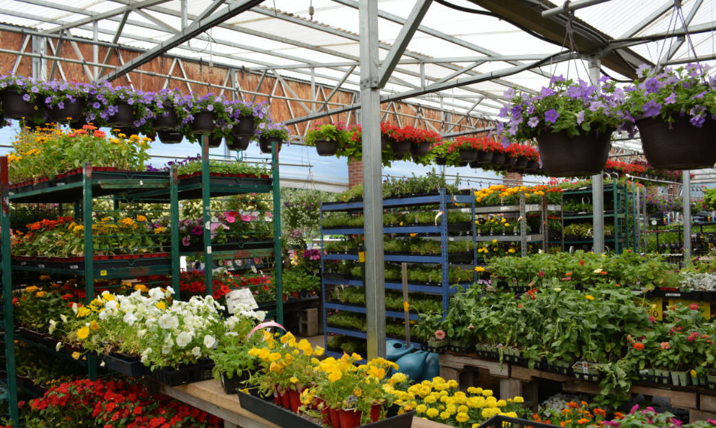 The Closet Historian: Garden Center