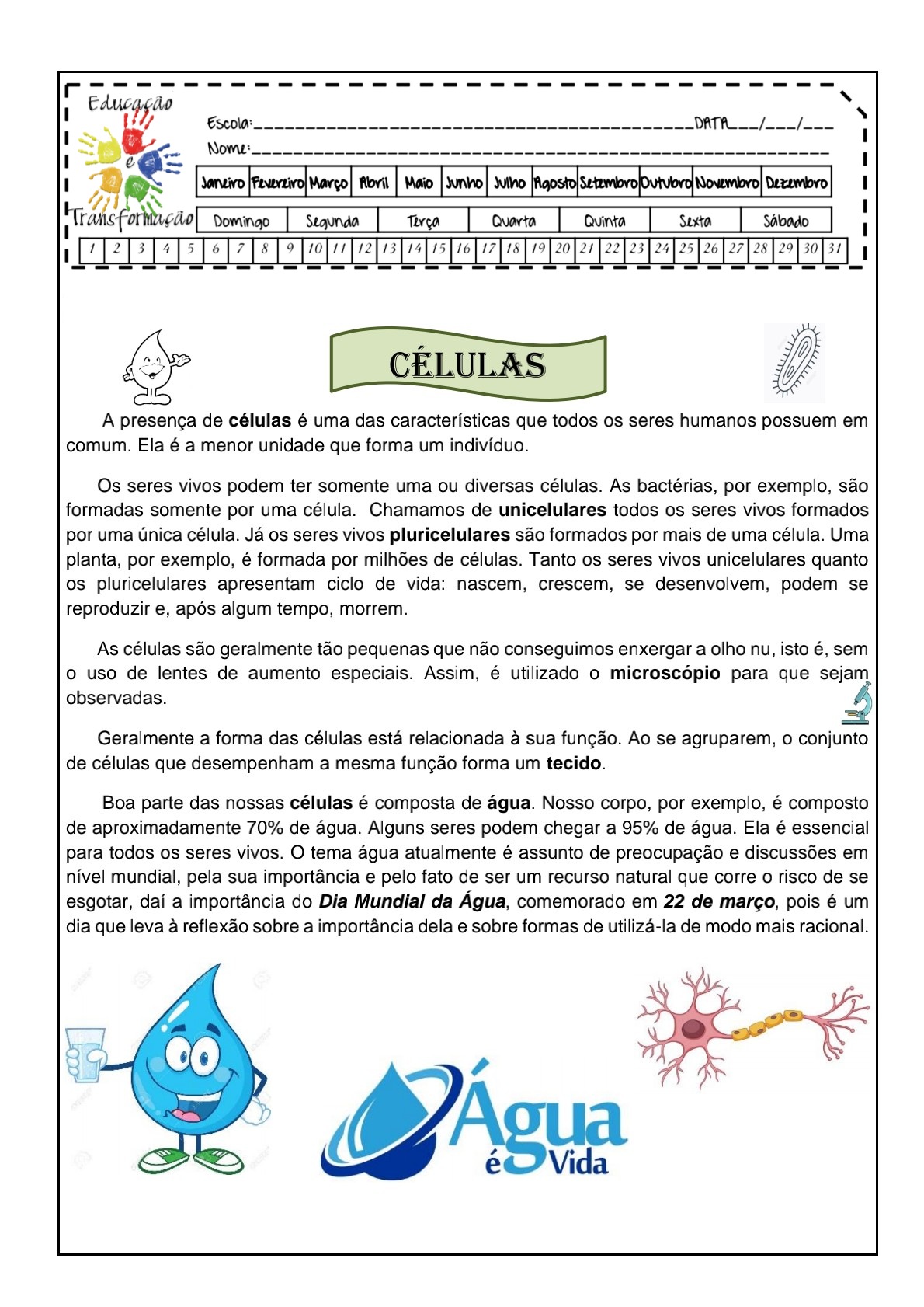 Atividade Sobre Celula 7 Ano - BINKEDU