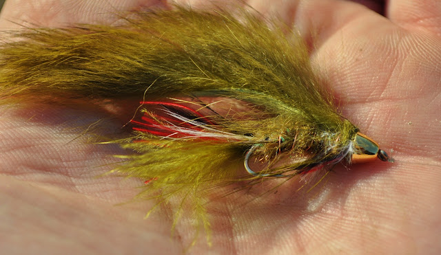 Driftless Creations Fly Tying: How to tie : Baby Brook Trout streamer ...