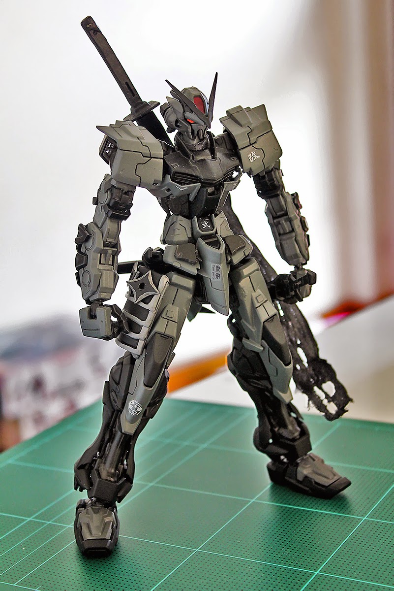 GUNDAM GUY: GUNDAM GUY: READERS FEATURE GUNPLA BUILD - MG 1/100 Shadow ...
