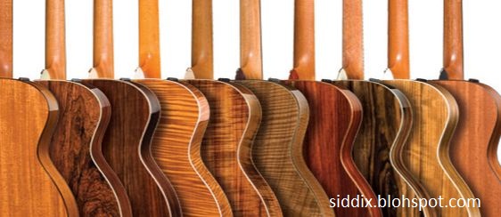 8 Jenis Kayu yang Digunakan Untuk Membuat Gitar Akustik - Siddix