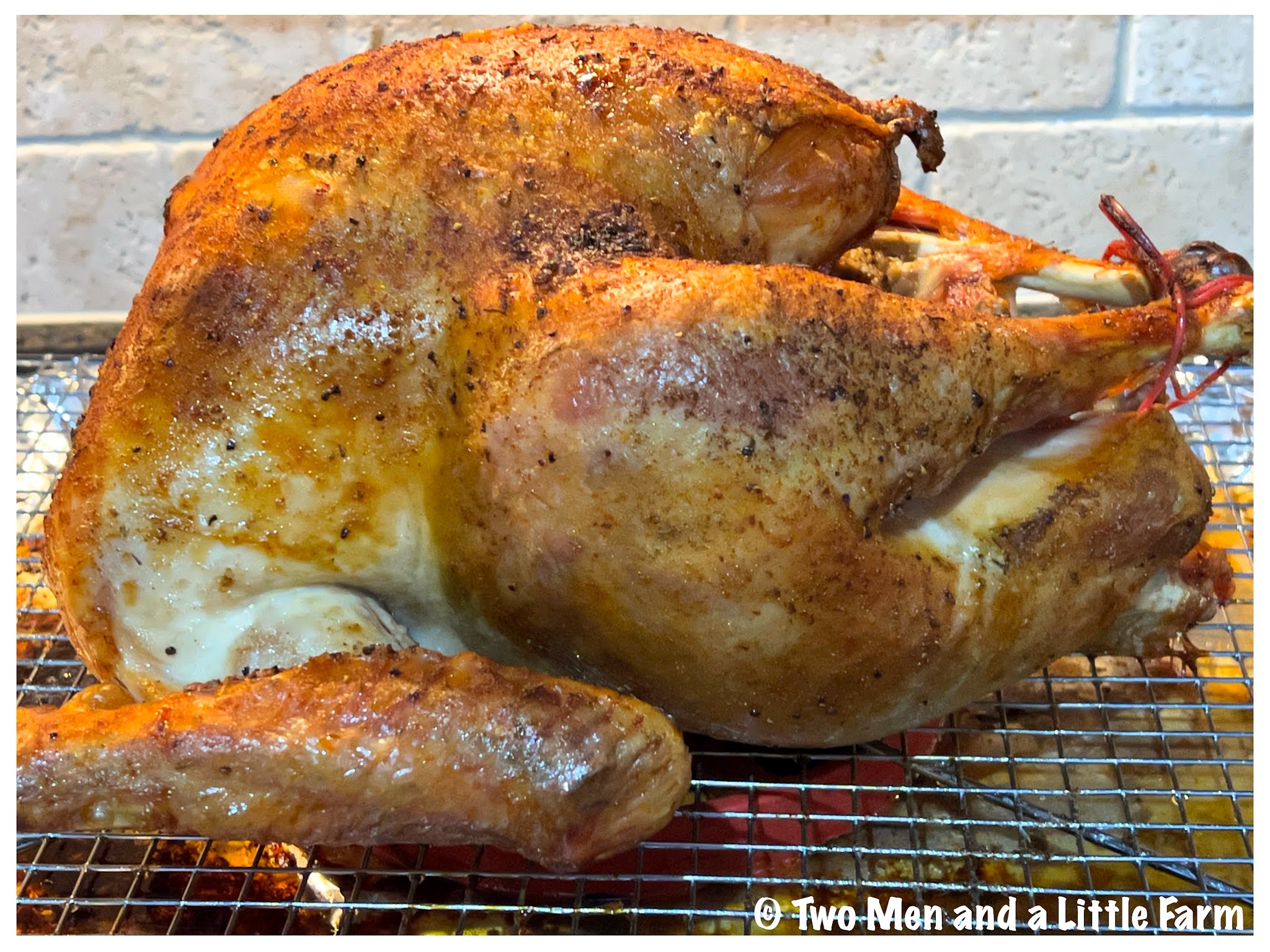 Two Men and a Little Farm: ROASTING AND PUTTING UP TURKEY