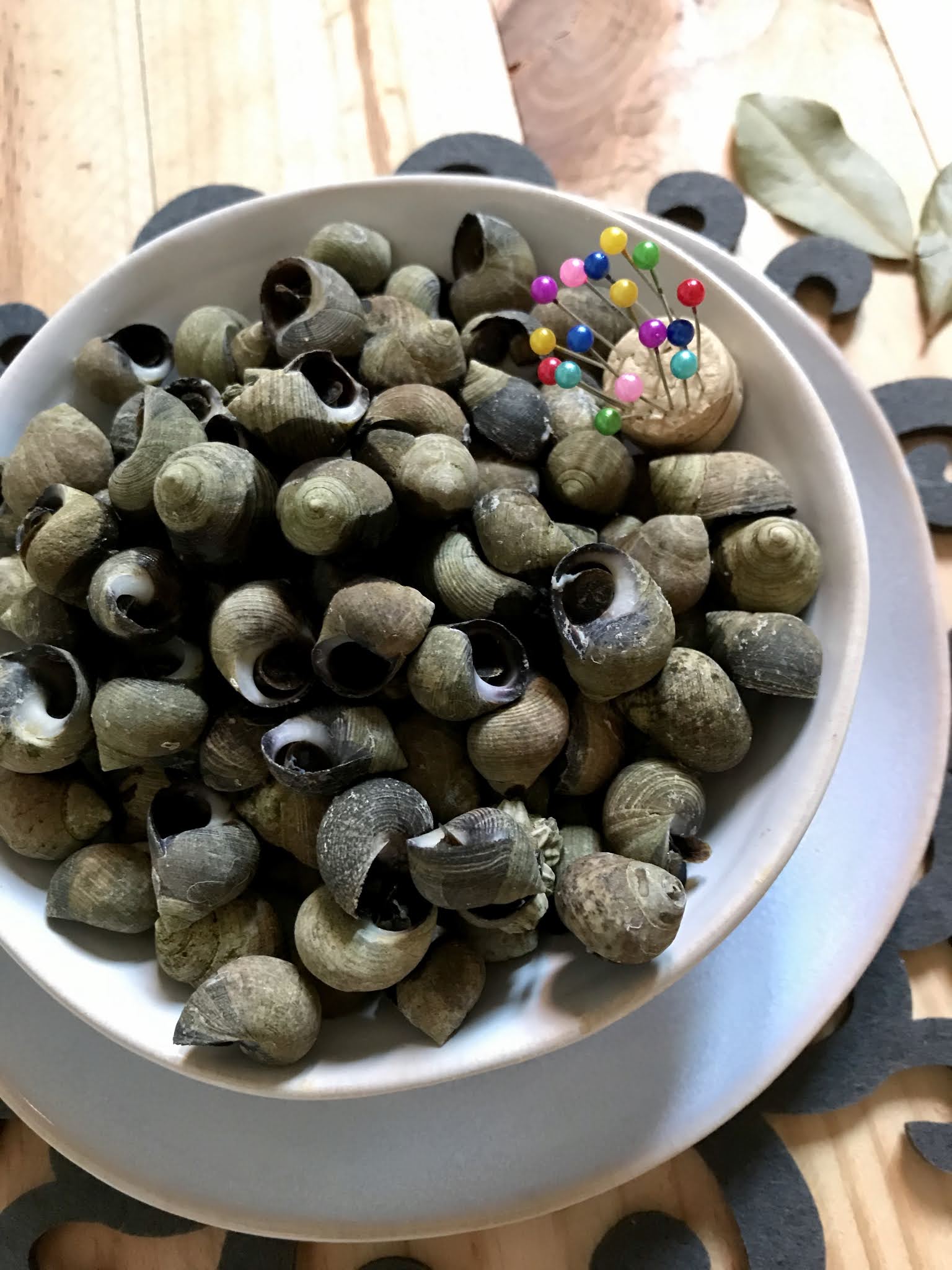 Cómo cocer y congelar bígaros o caracolillos de mar