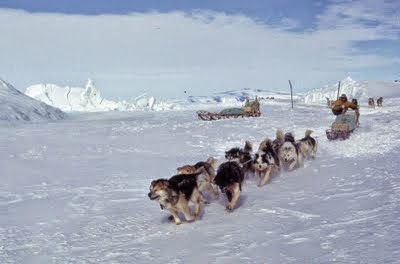 Bob McKerrow - Wayfarer: May 2014