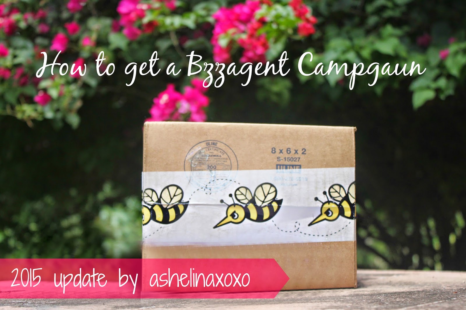 Ashelina xoxo: How to Get a Bzzagent Box 2015 update