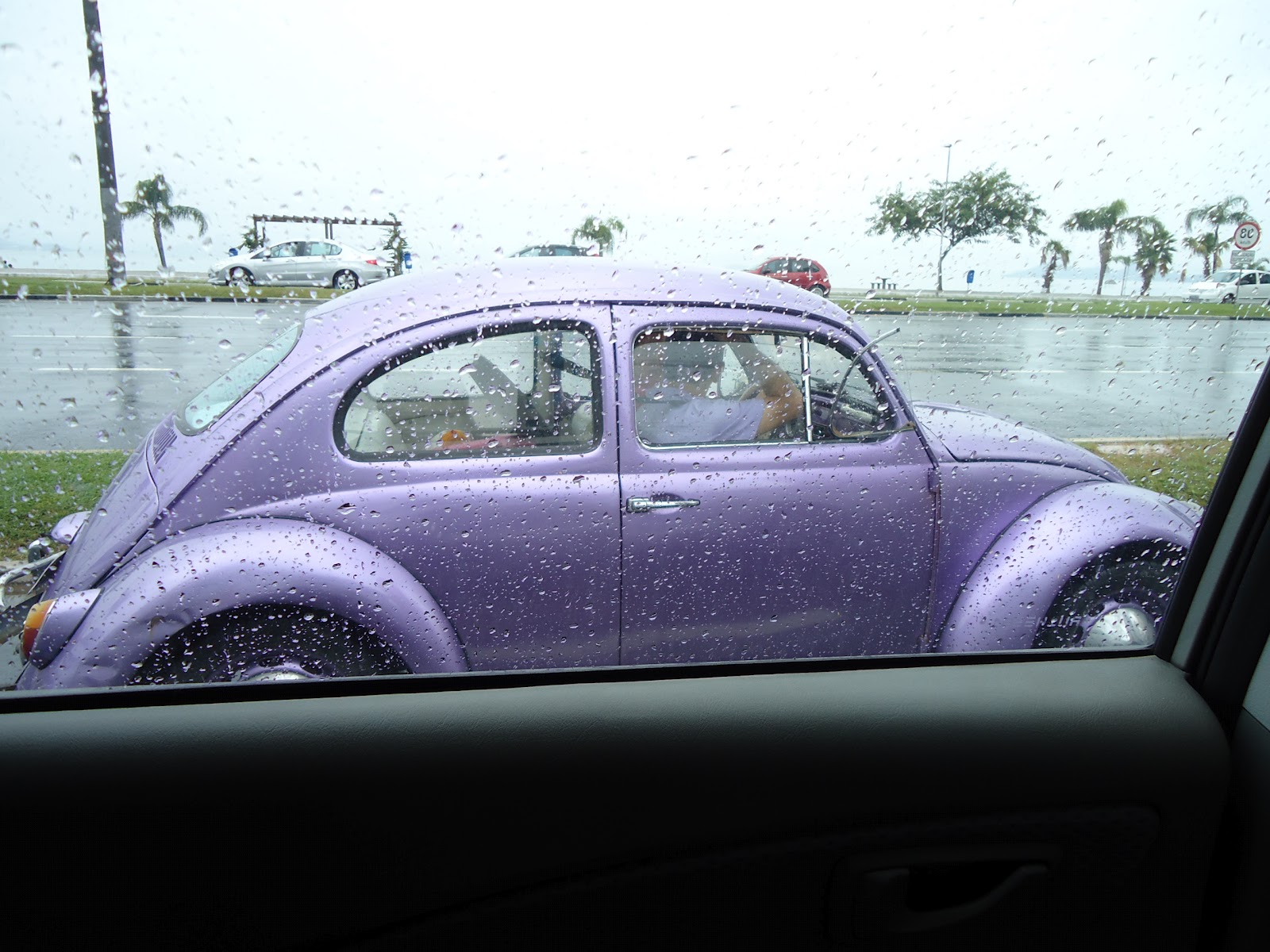 Aventuras do Fusca...: Fusca Roxo