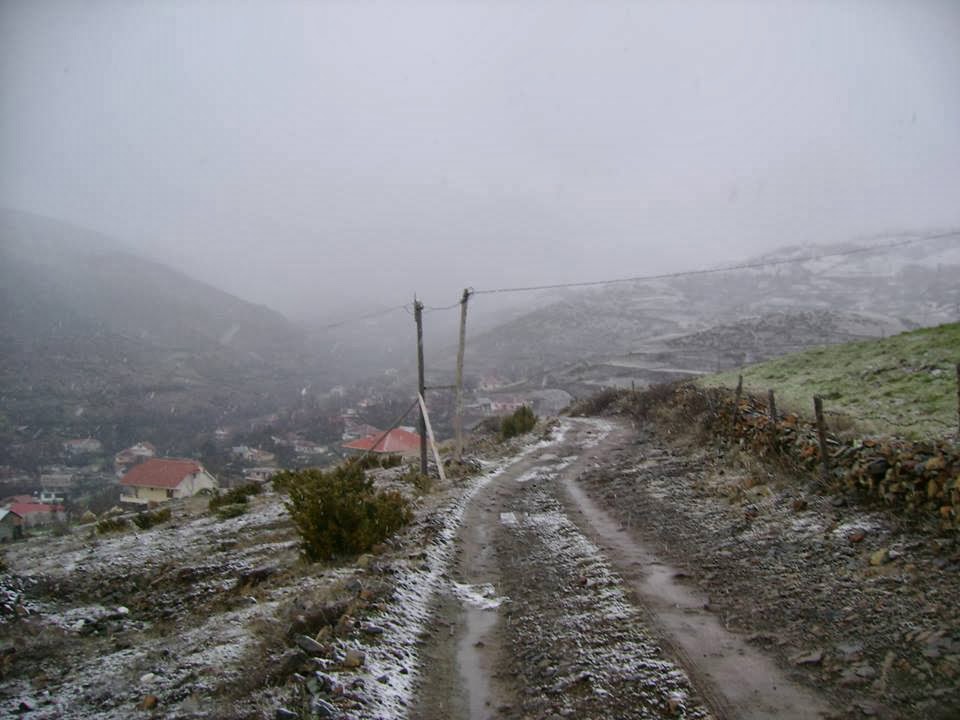 RRAJCA JONE: Rrajca nen petkun e bardhe
