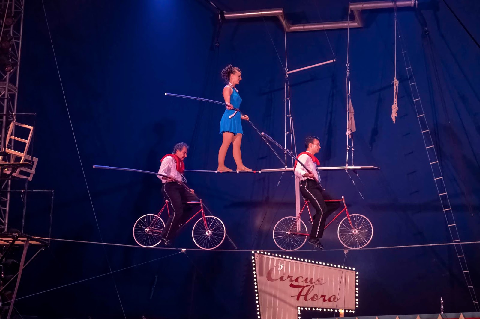 St. Louis Daily Photo: UNDER THE BIG TOP