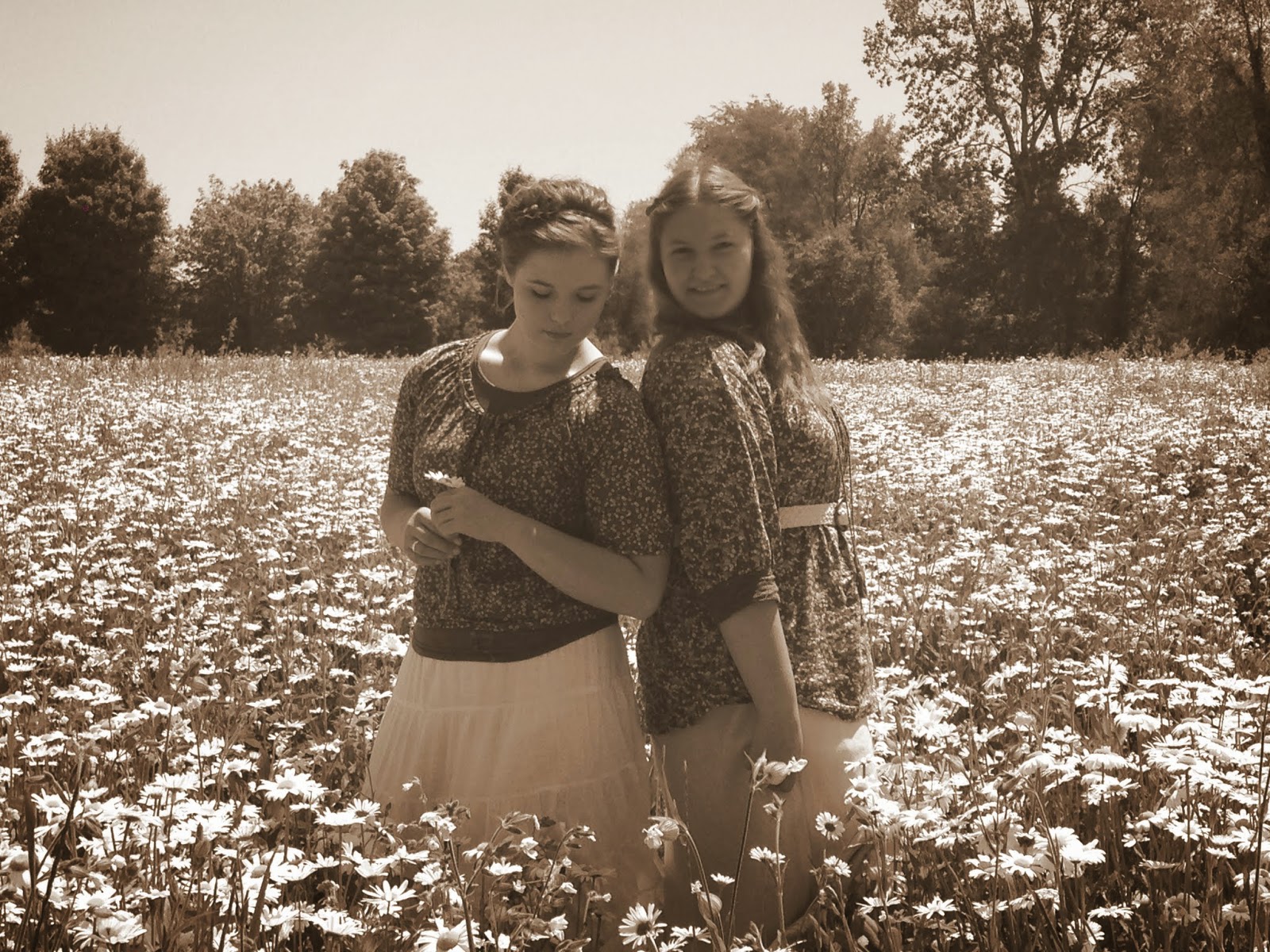 Calico Sisters: Sister Flair || Creamy Floral