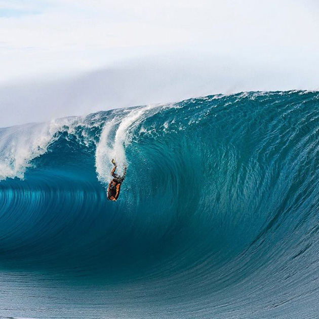 Photographer Spends Hours in Open Waters to Capture Exquisite Moments ...