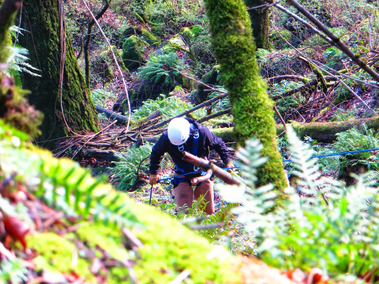 Journalist By Nature: Rocky Butte: Famously Overlooked Portland Landmark