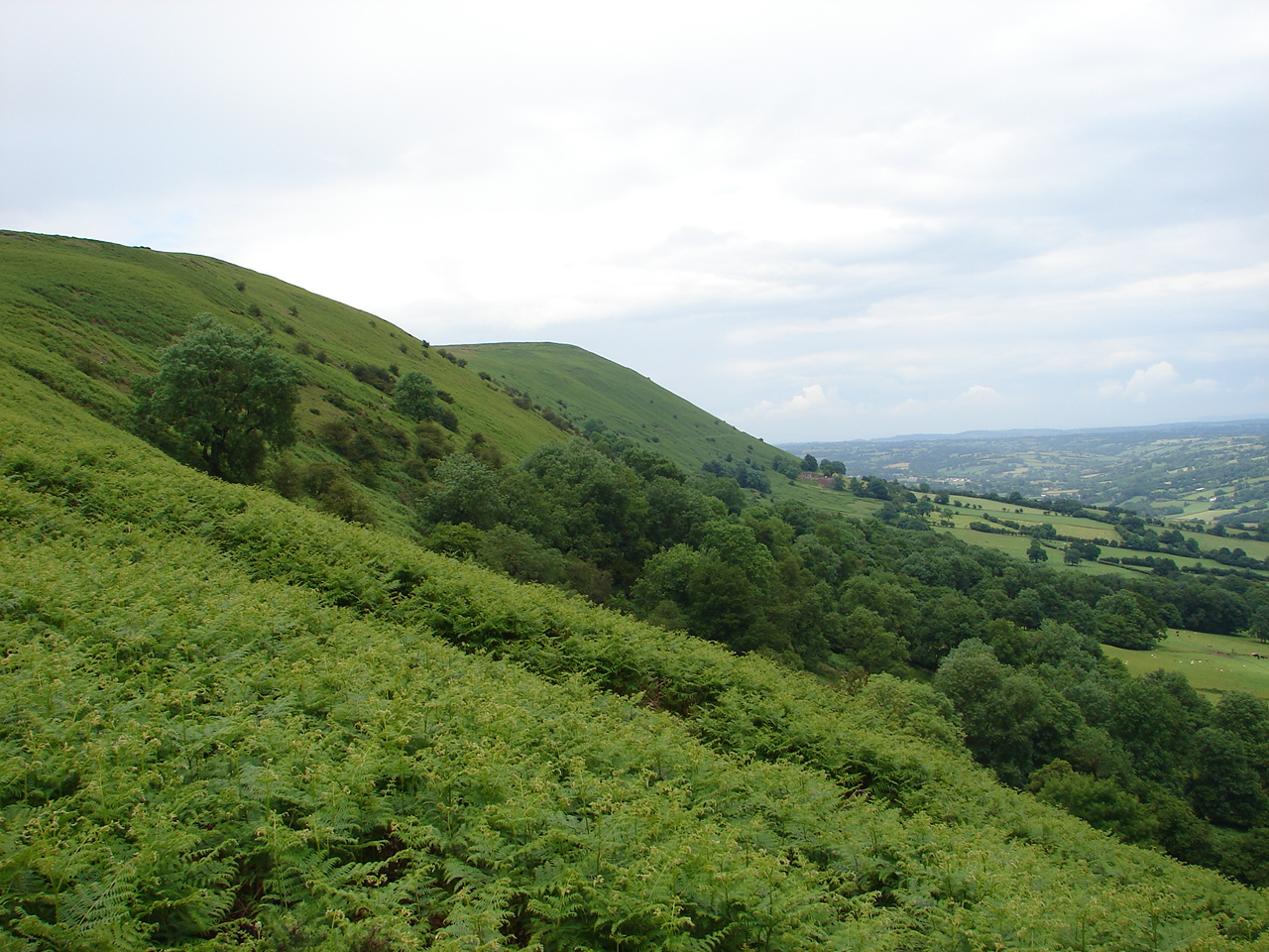 Landscapism: Hatterall - Hill towards the sun