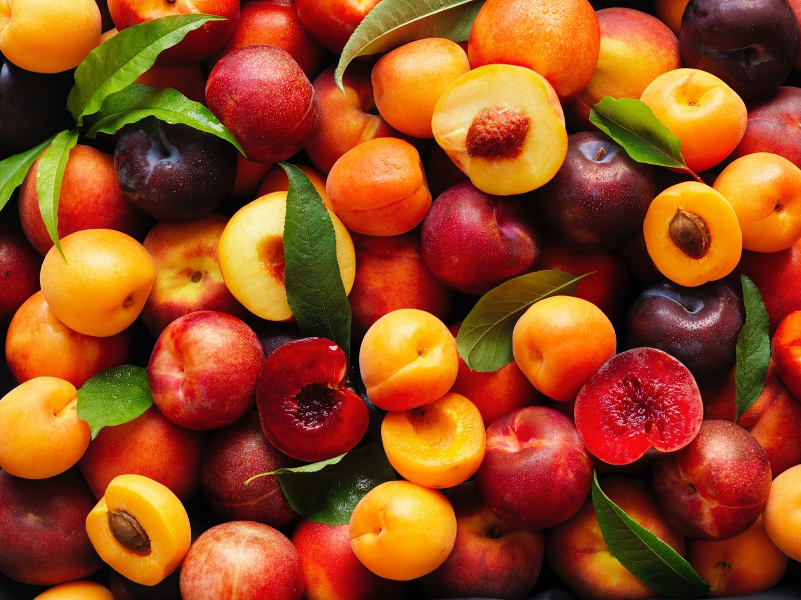 Nikmati Buah-Buahan Segar Dari Australia