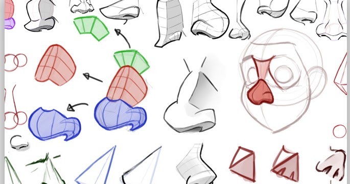 Learning drawing principles: nosetutorial