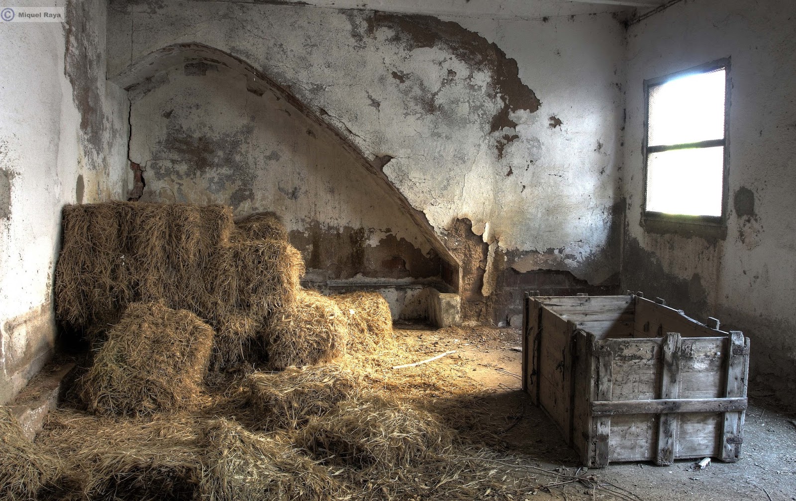 REFLEXIONES : UN ESTABLO, LO MEJOR QUE LOS HOMBRES PODEMOS OFRECER