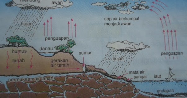Tahapan Daur Air dan Kegiatan Manusia yang Dapat Mempengaruhinya ...