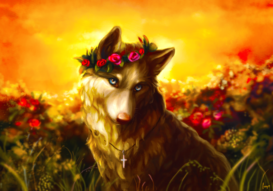 O mnie i o SSO: Tapeta