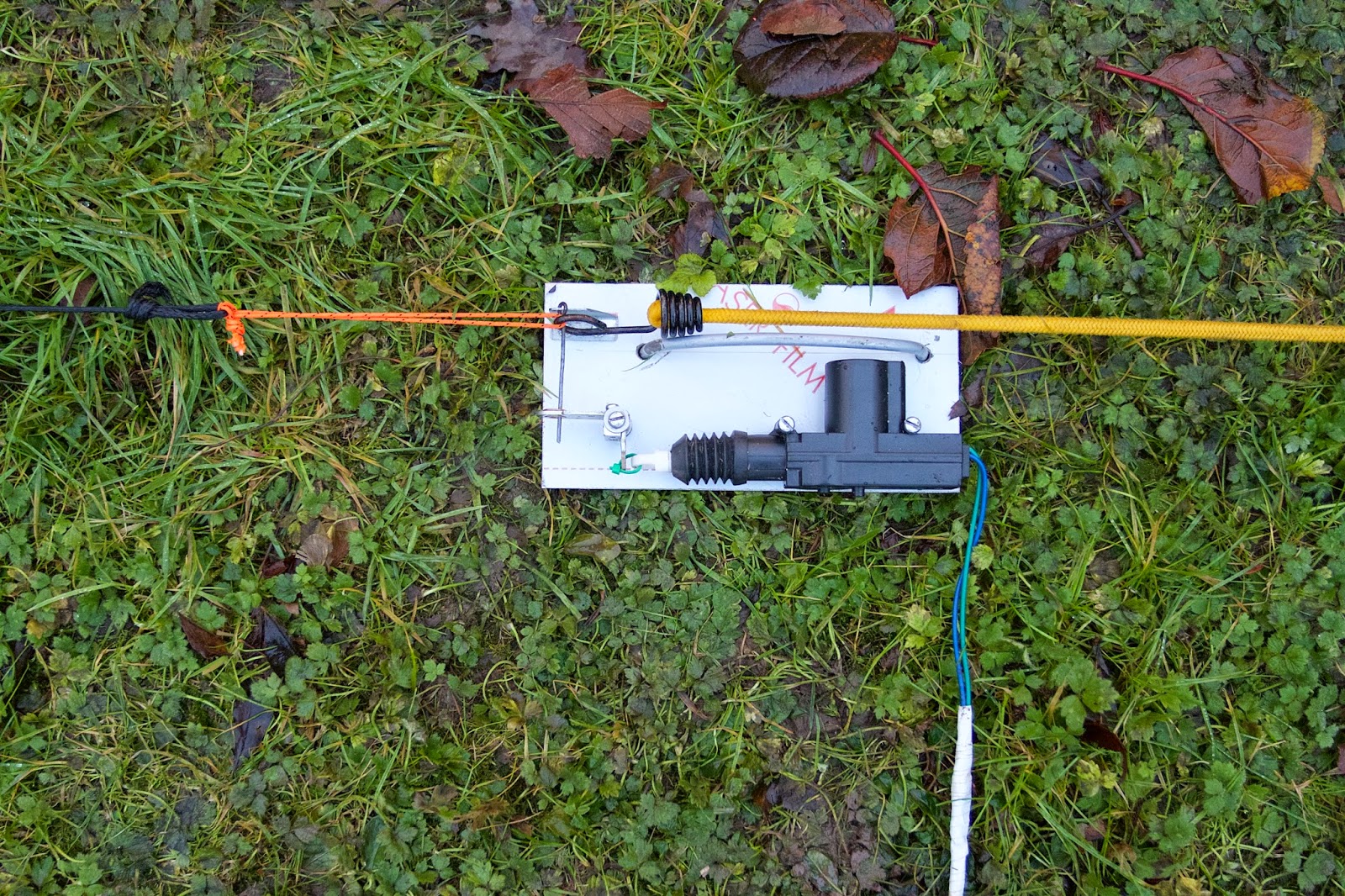 Charlie Sargent's bird ringing: Whoosh Net now operates remotely