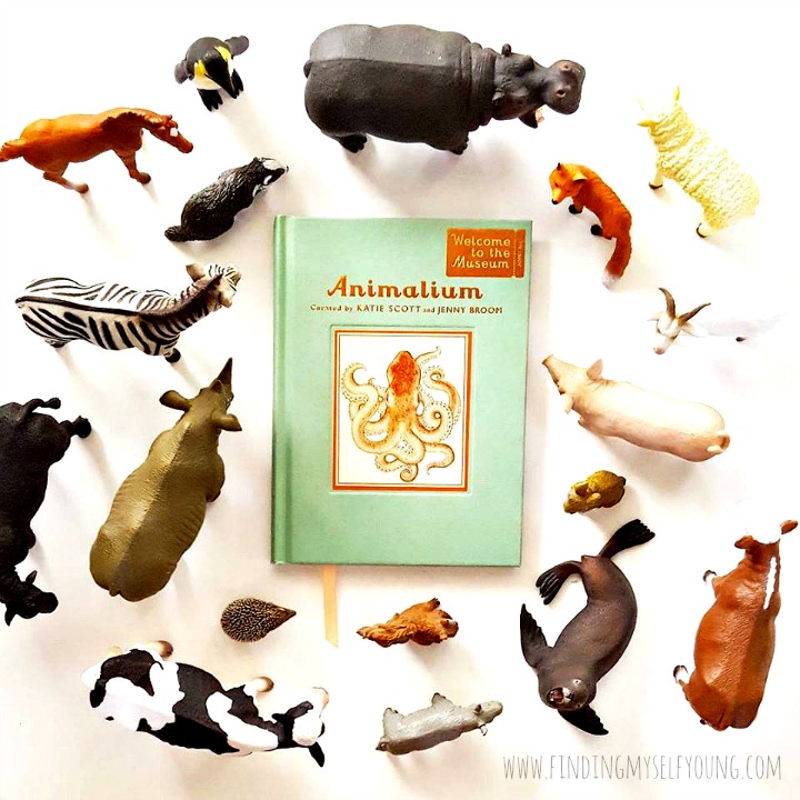 Animal figurine sensory, small world, bookish and game play ideas ...