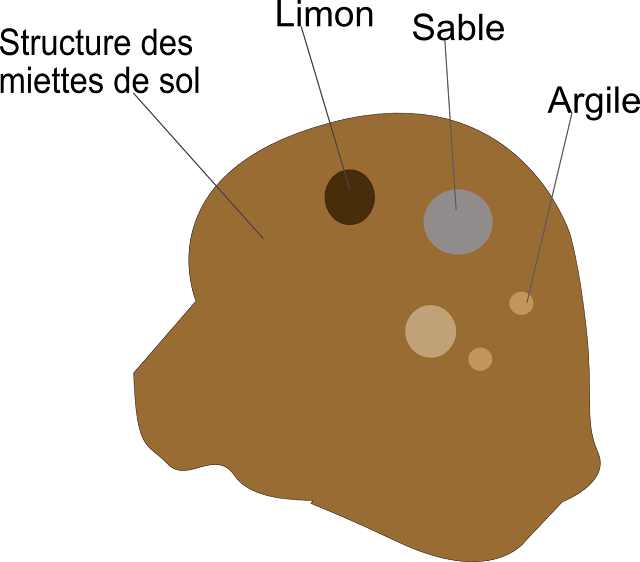 Pourquoi ai-je rêvé de faire mon propre compost