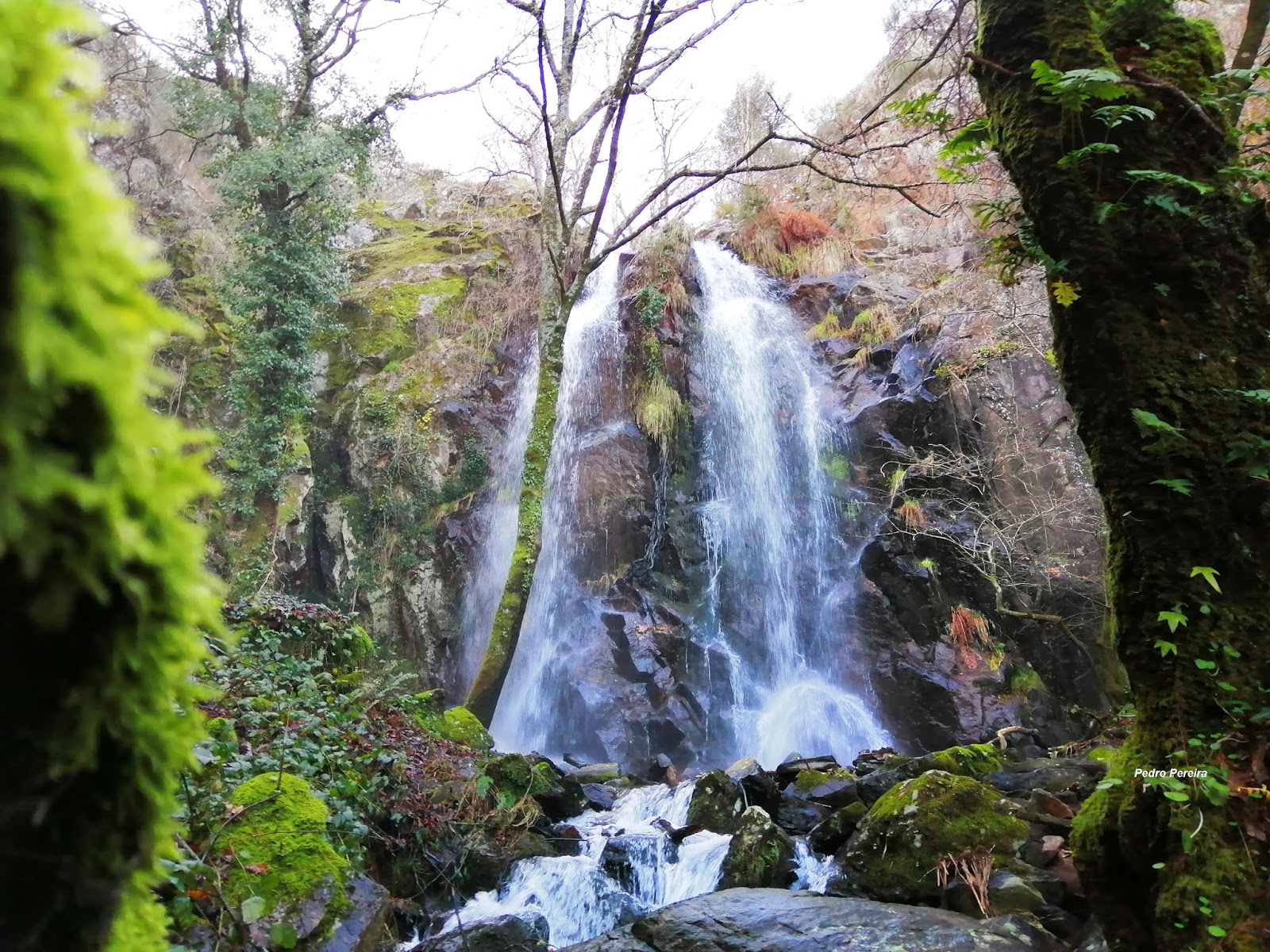 Visit Serra do Caramulo: 2019