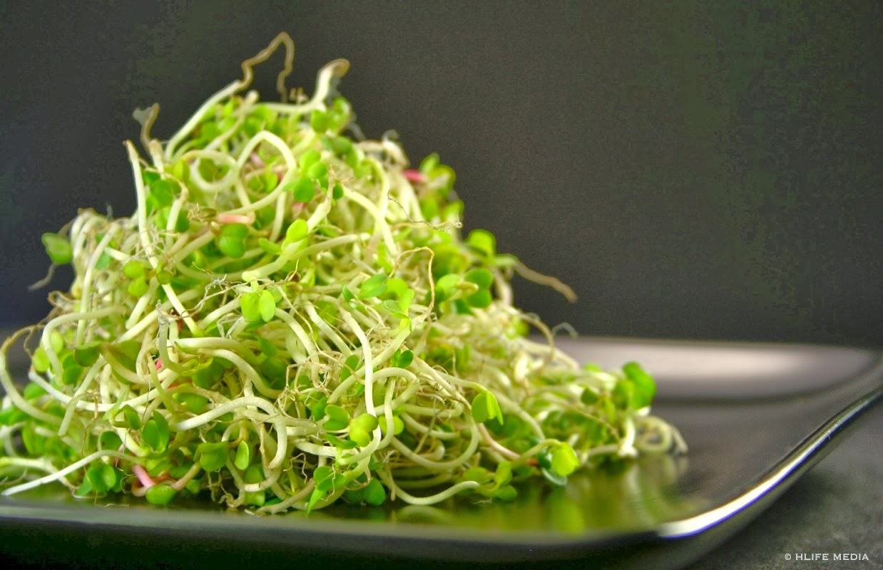 Garden Anywhere Box: Sprouts