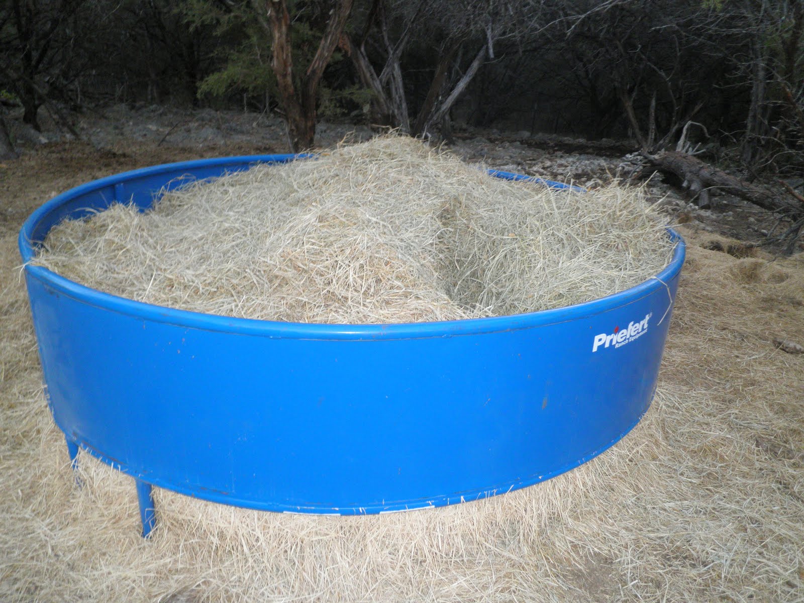 Cabbage Ranch: Rings: They're Not Just For Fingers.